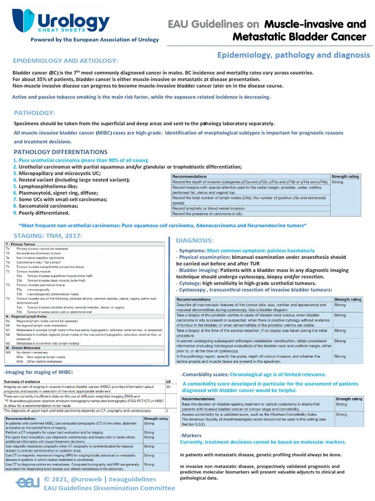 Cheat Sheet - EAU MIBC | PDF | Pathology | Medicine