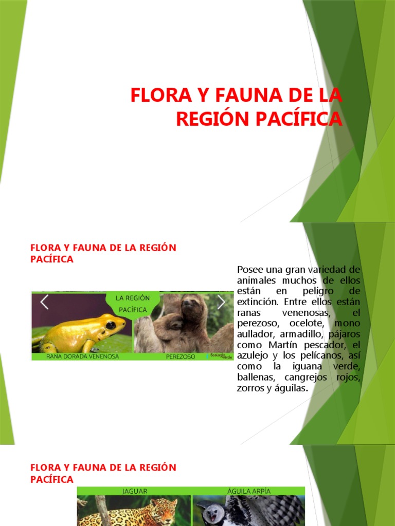 Flora y Fauna de La Región Pacífica Angello | PDF