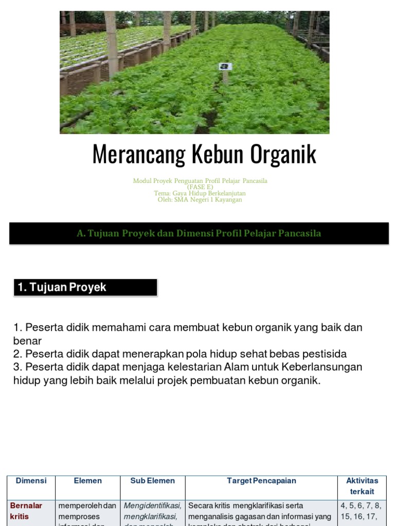 Modul Projek Kebun Organik | PDF | Karier & Perkembangan