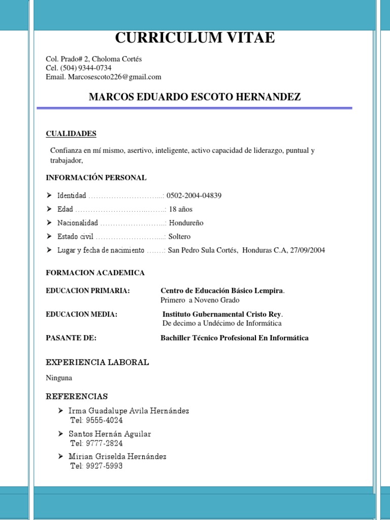 Curriculum de Marcos | PDF