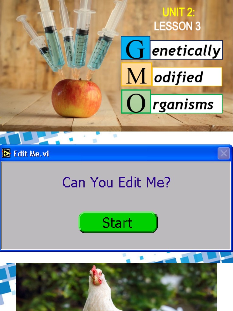 Unit 2 Lesson 3 Stas Gmo | PDF | Genetically Modified Organism | Cotton