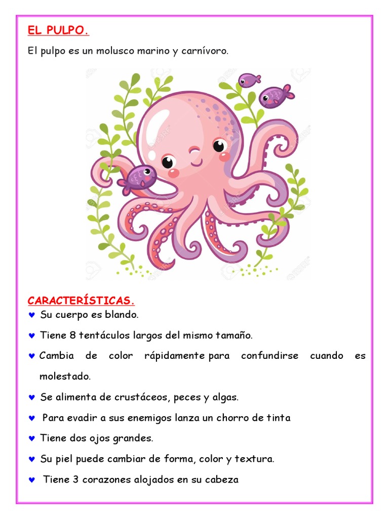 Características del Pulpo para Niños | PDF