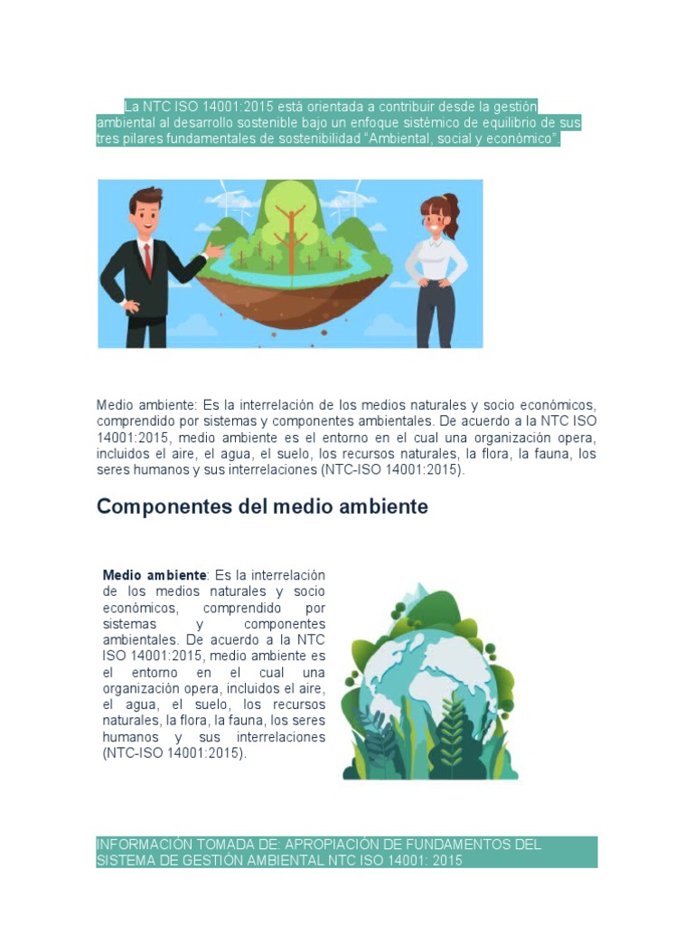 Componentes Del Medio Ambiente | PDF | Evaluación del ciclo de vida ...