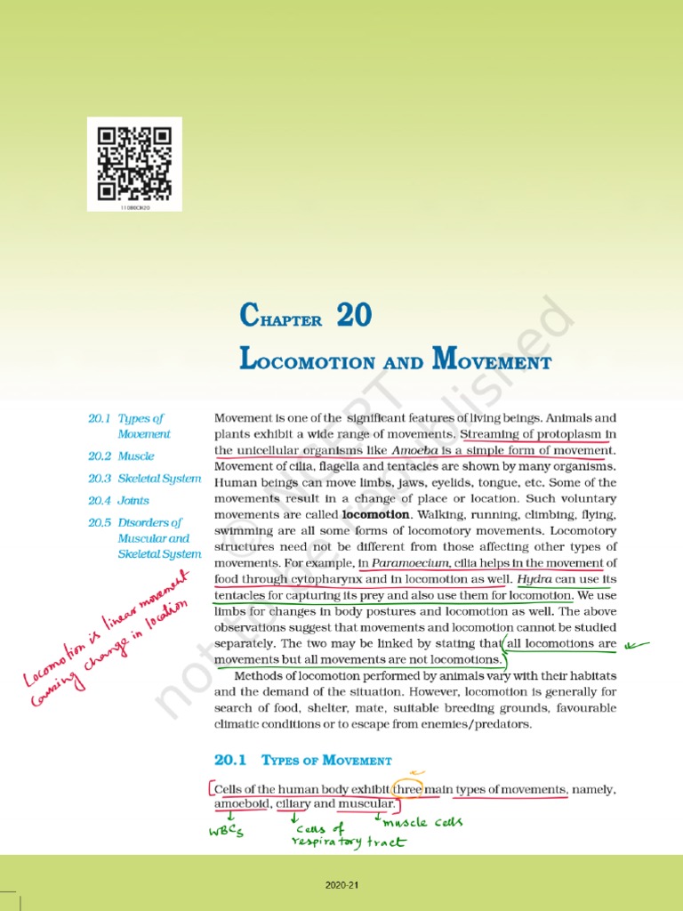 Locomotion & Movement NCERT Underlined-1 | PDF