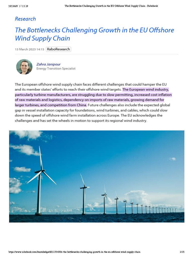 The Bottlenecks Challenging Growth in The EU Offshore Wind Supply Chain ...