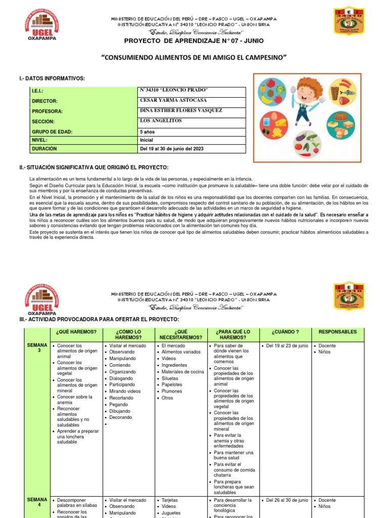 Proyecto - de - Aprendizaje - N°07 Dina | PDF | Alimentos | Información