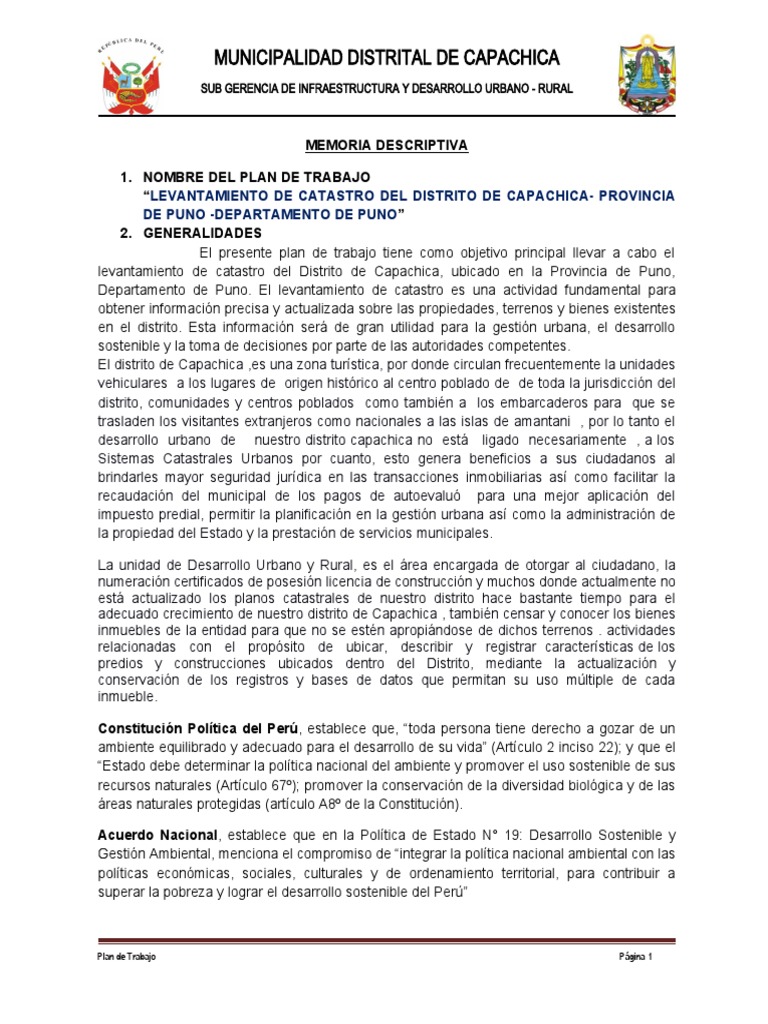 Plan Trabajo - Catastro Capachica | Descargar gratis PDF ...