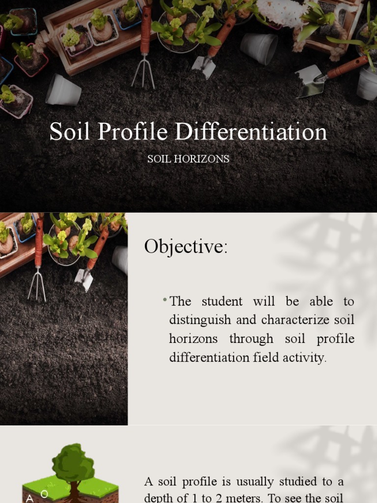 Soil Profile PPT 2 | PDF | Physical Geography | Natural Materials