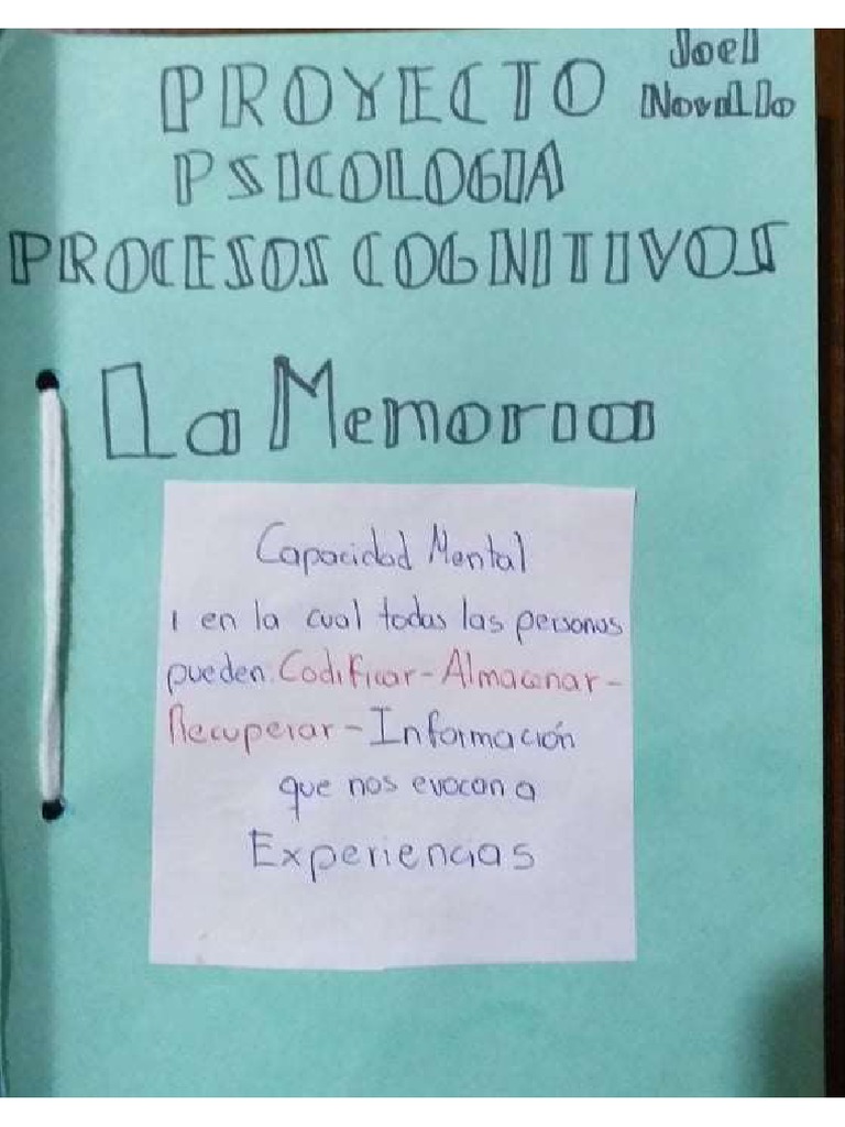 Manual Interactivo | PDF