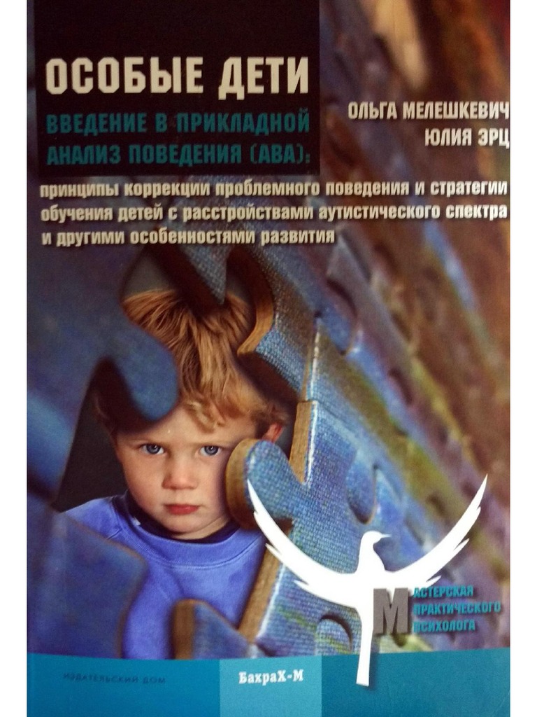 Meleshkevich Olga Erts Yuliya Osobye Deti Vvedenie V Priklad | PDF