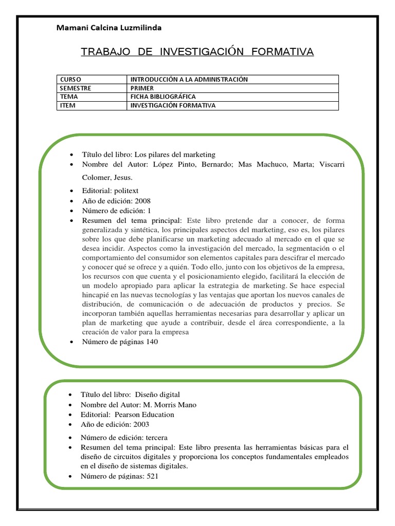 Mamani Calcina Luzmilinda - TIF | PDF | Marketing | Publicación