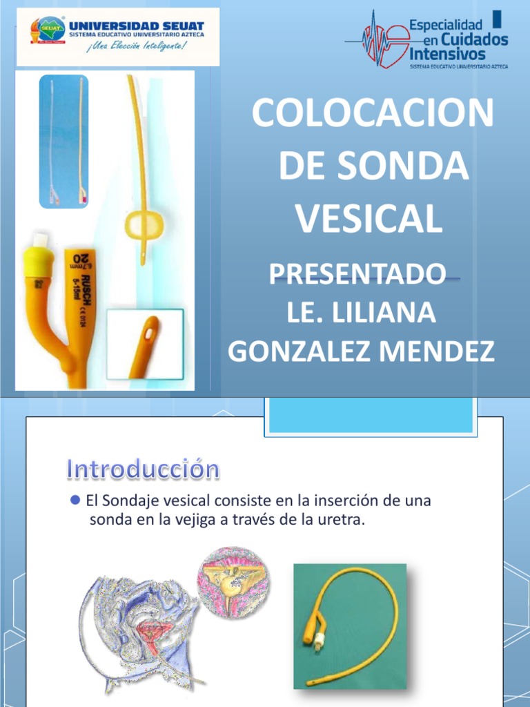 Sonda Vesical - Liliana Gonzalez Mendez | PDF | Vejiga urinaria | Urología