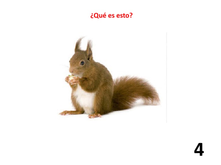 Definición y explicación de "esto" | PDF