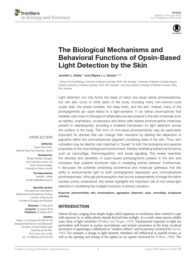 The Biological Mechanisms and Behavioral Functions of Opsin-Based Light Detection by The Skin ...