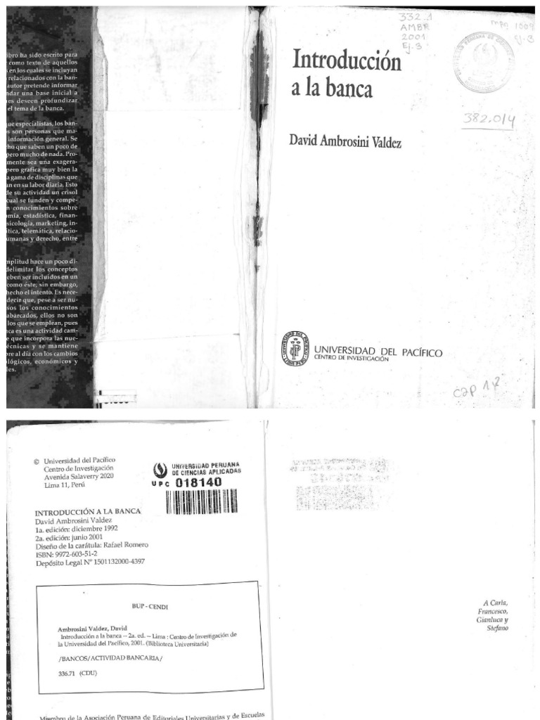 Introduccion A La Banca | PDF