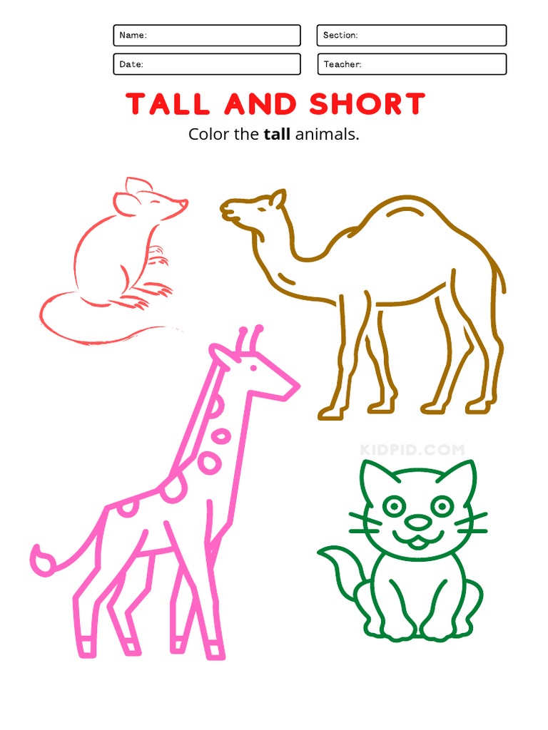 Tall and Short Animals Coloring Worksheet | PDF | Language Arts ...