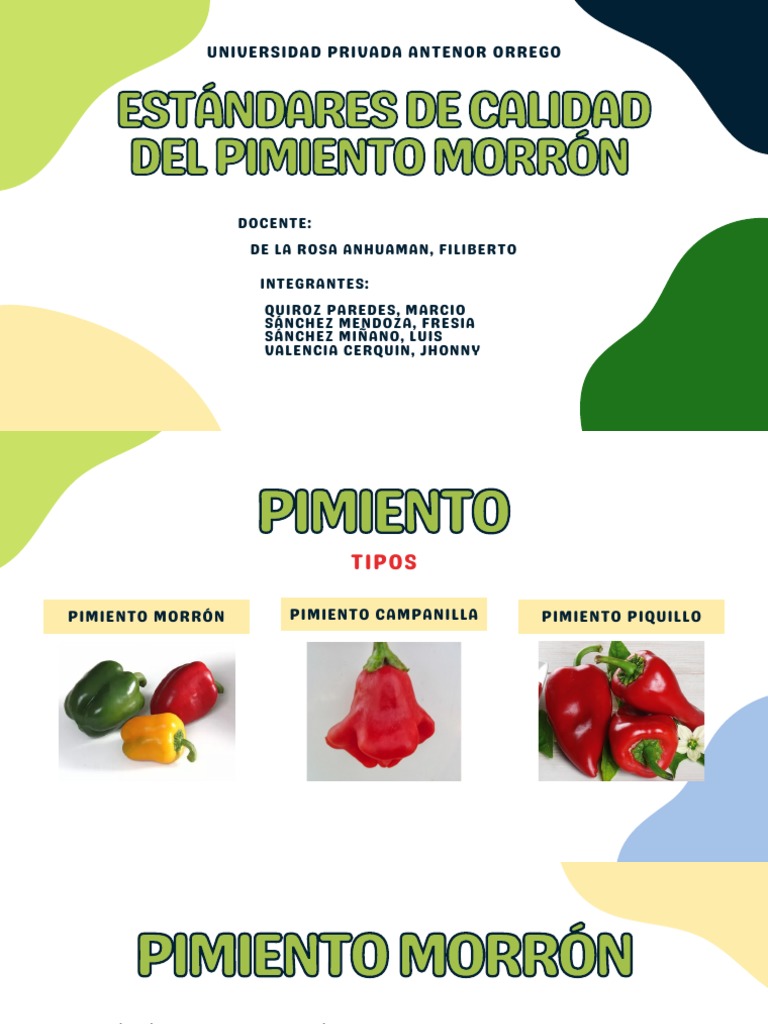 Pimiento Morrón | PDF | Pimiento