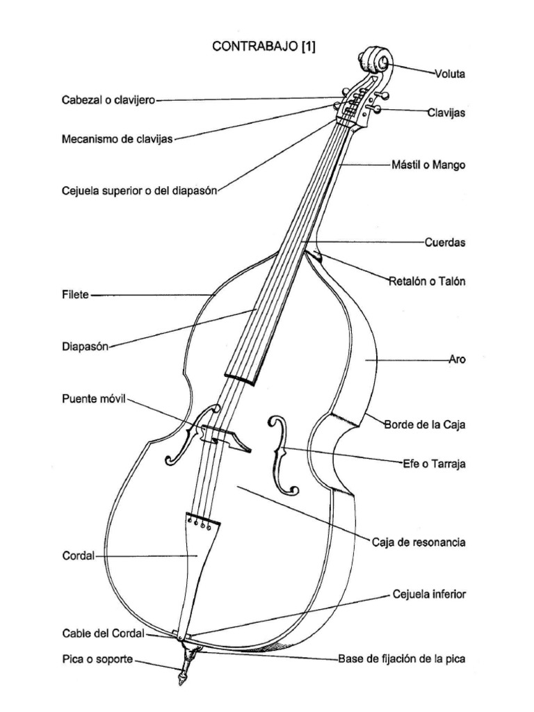 El Contrabajo | PDF | Contrabajo | Instrumentos de cuerda