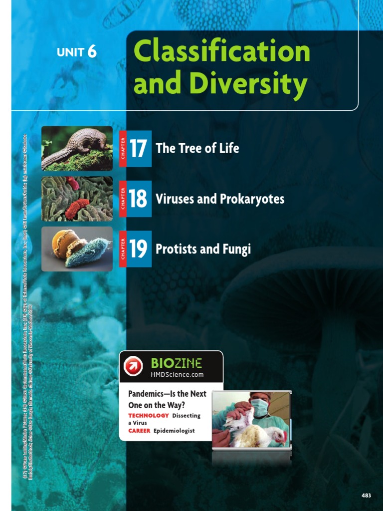 Diversity and Classifiction | PDF | Taxonomy (Biology) | Reptile