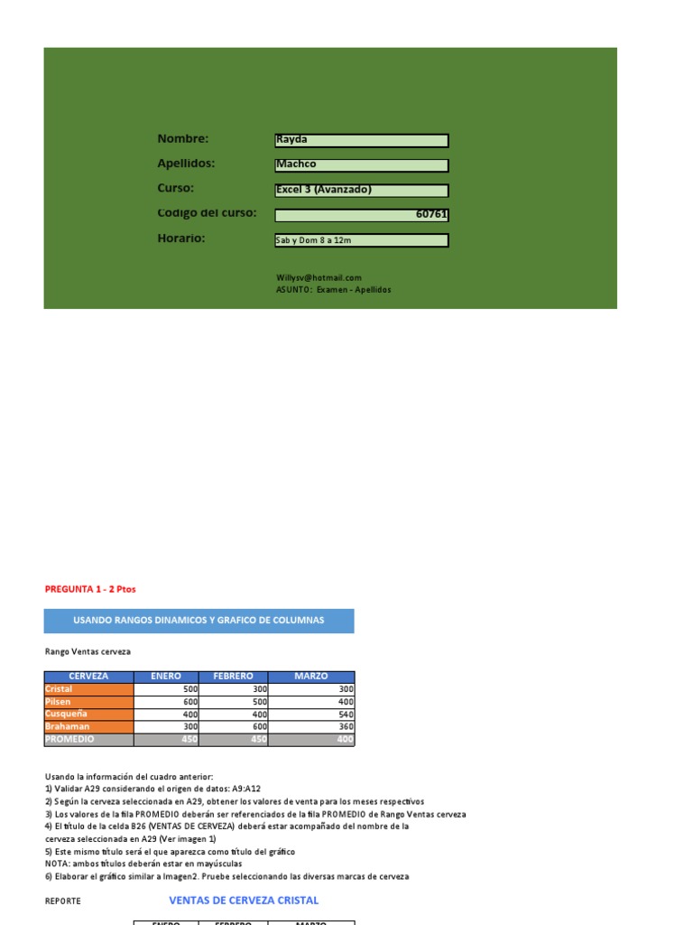 Examen Excel 3 | PDF