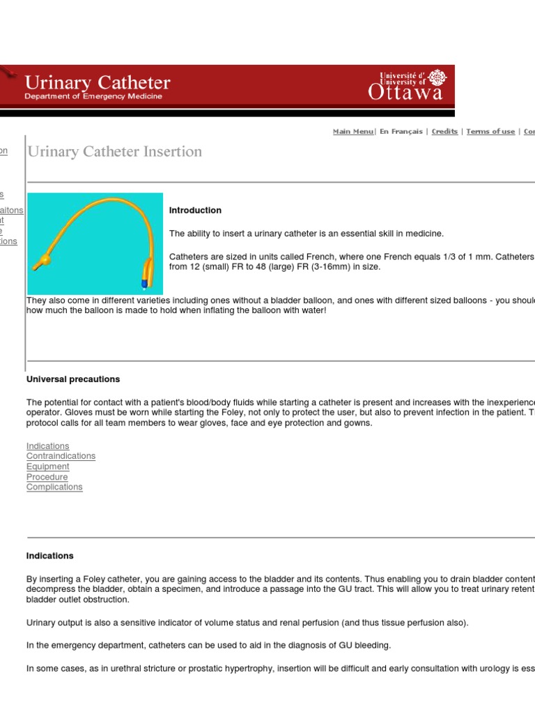 Urinary Catheter | PDF | Catheter | Urology
