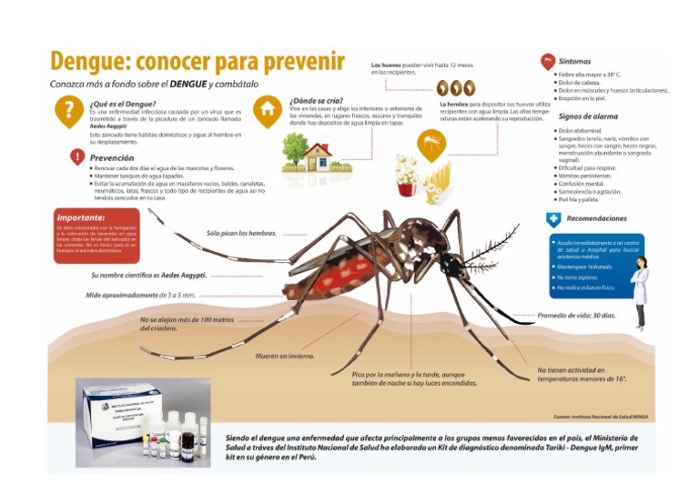 Lunes Ficha Dengue | PDF