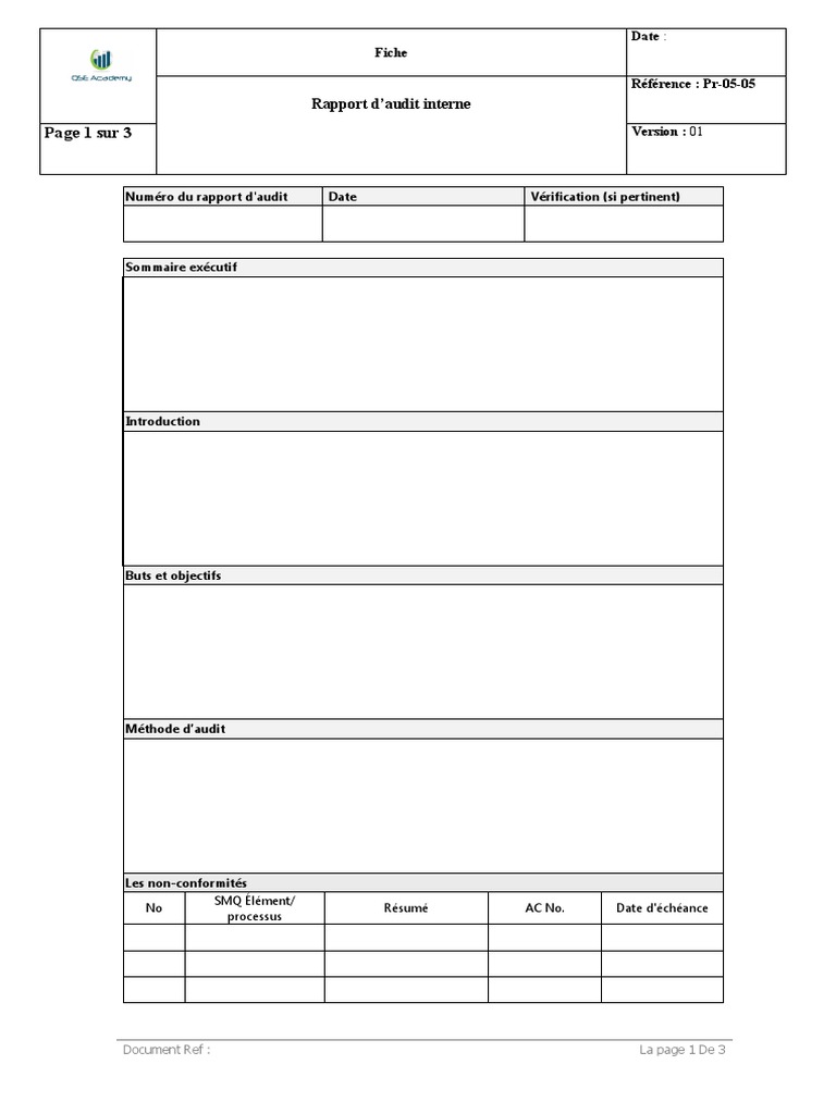 Rapport D'audit Interne | PDF | Audit | Business