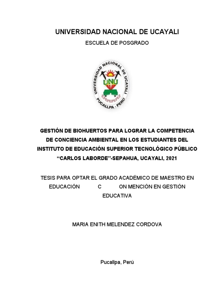 TESIS FINAL Maria Enith | PDF | Contaminación | Entorno natural