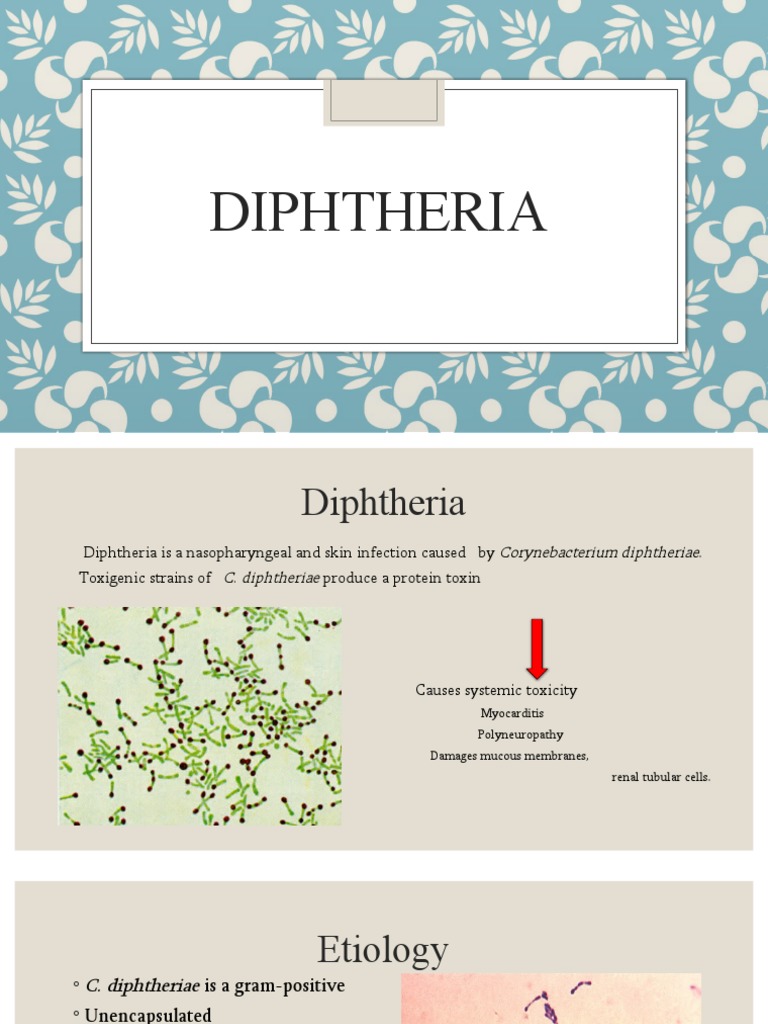 Diphtheria | PDF | Medicine | Clinical Medicine