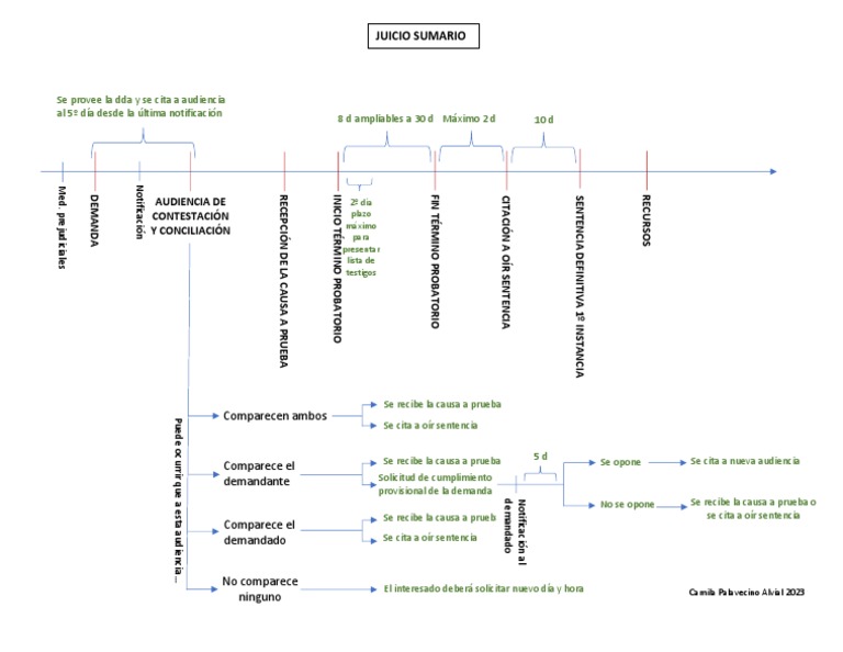 Esquema Juicio Sumario Chile | PDF | Judicaturas | Procedimiento legal