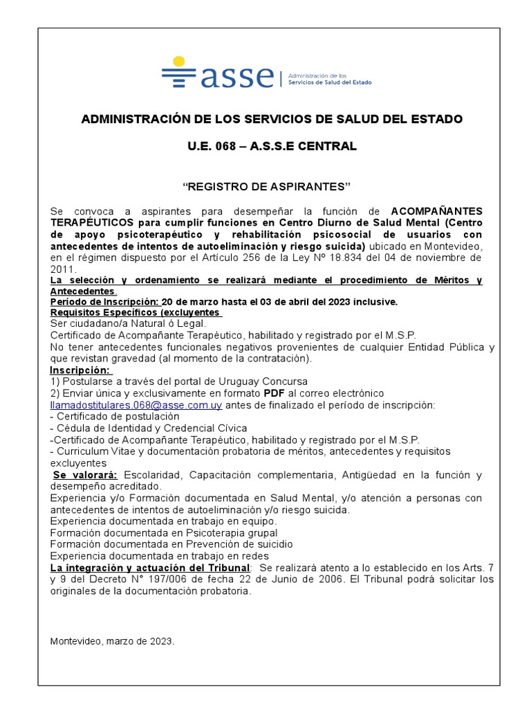 Acompanantes Terapeuticos 1 Pdf