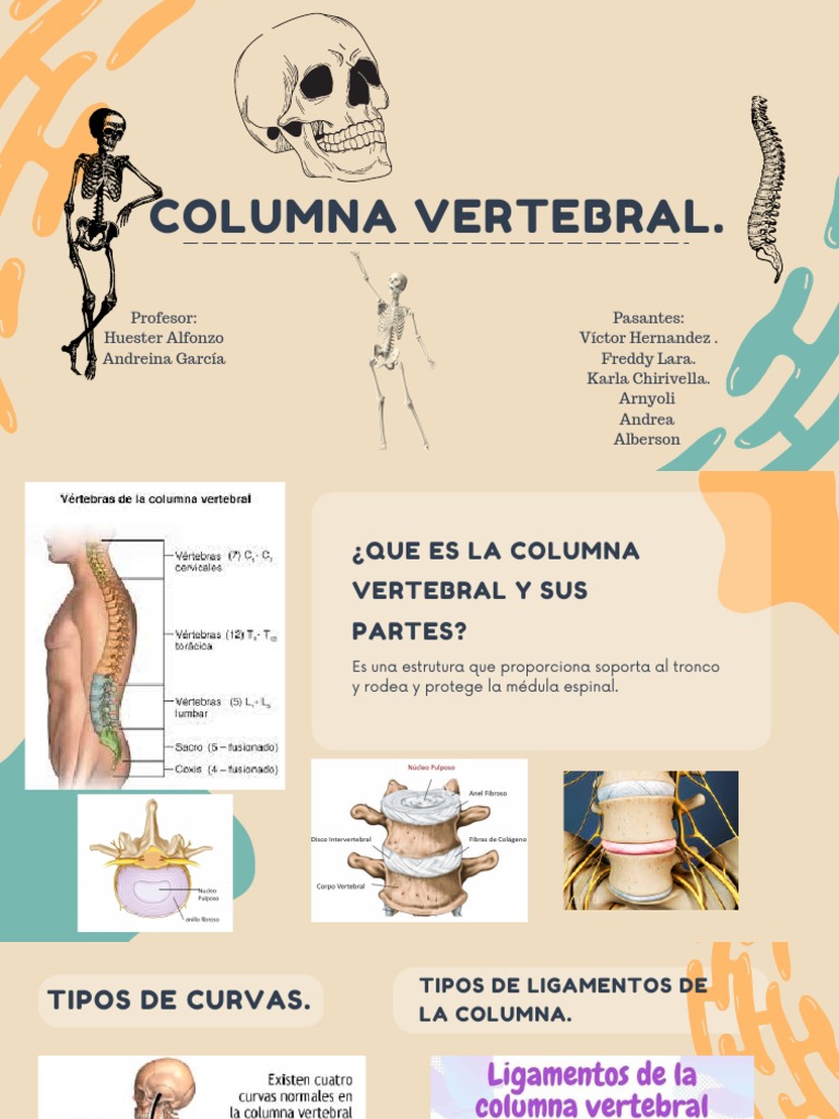 columna (1) | PDF