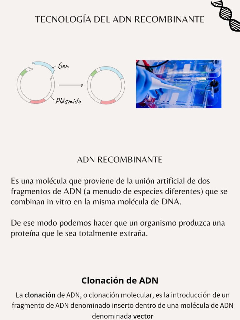 ADN Recomb (1) | PDF | Adn | Plásmido
