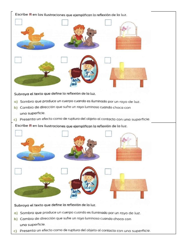 Actividades para Cuarto Grado | PDF