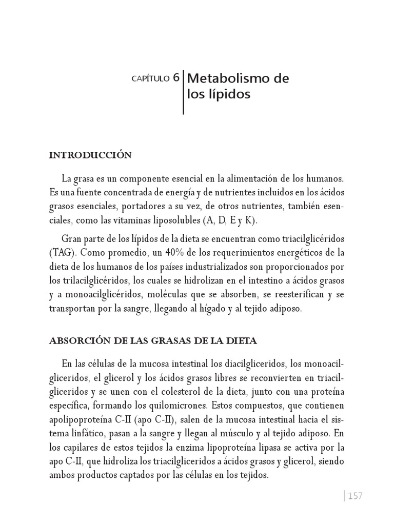 Metabolismo de Lípidos y Reesterificación | PDF | Triglicéridos | Lípido