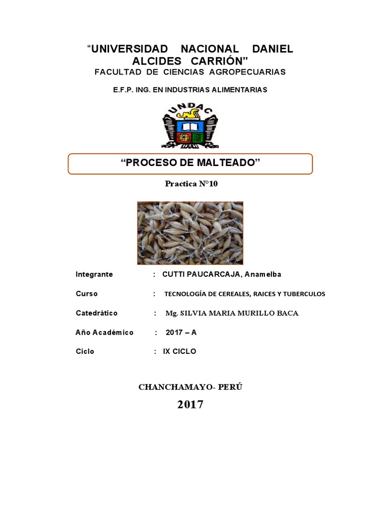 Proceso de Malteado de Cebada | PDF | Malta | Germinación