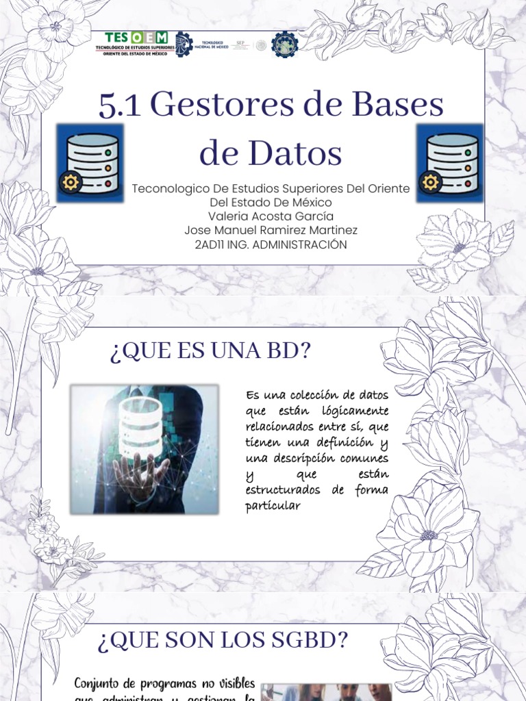 SGBD | PDF | Bases de datos | Mi sql