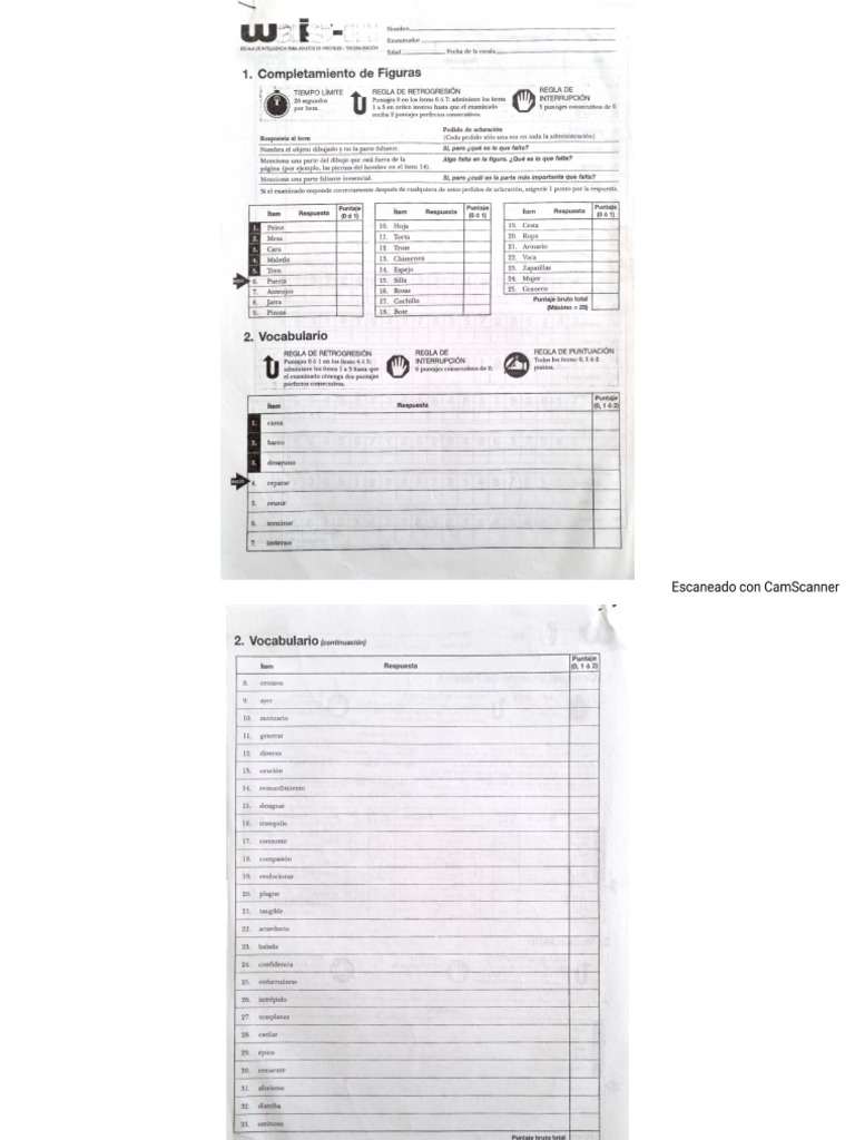 Protocolo WAIS III PAIDOS | PDF