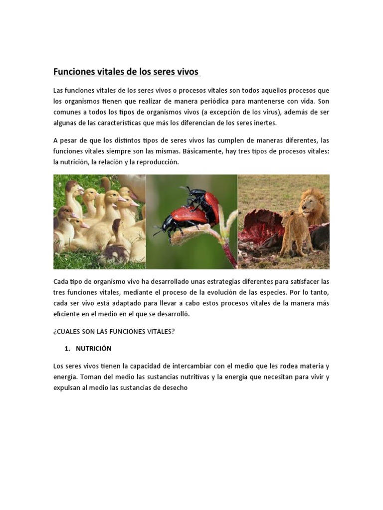 Funciones Vitales de los Seres Vivos | PDF | Organismos | Nutrición