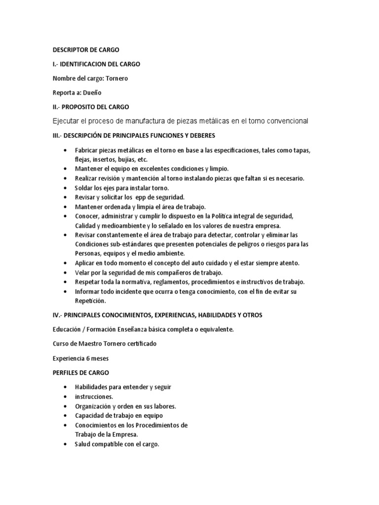 Descriptor de Cargo | PDF