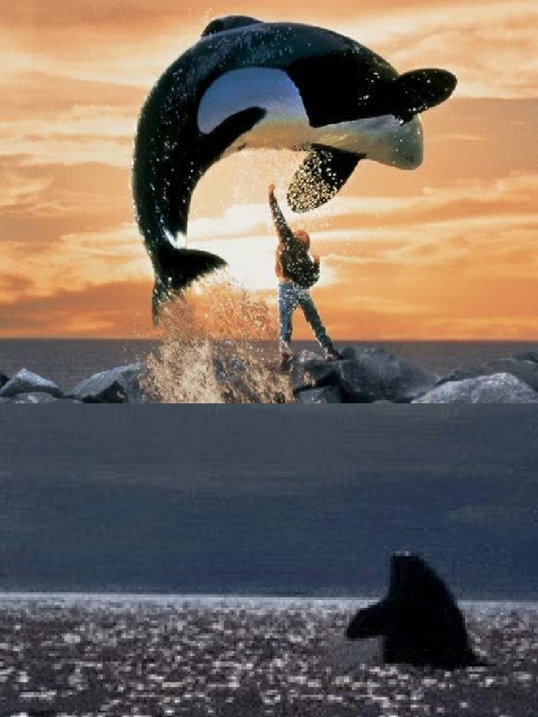 Free Willy | PDF