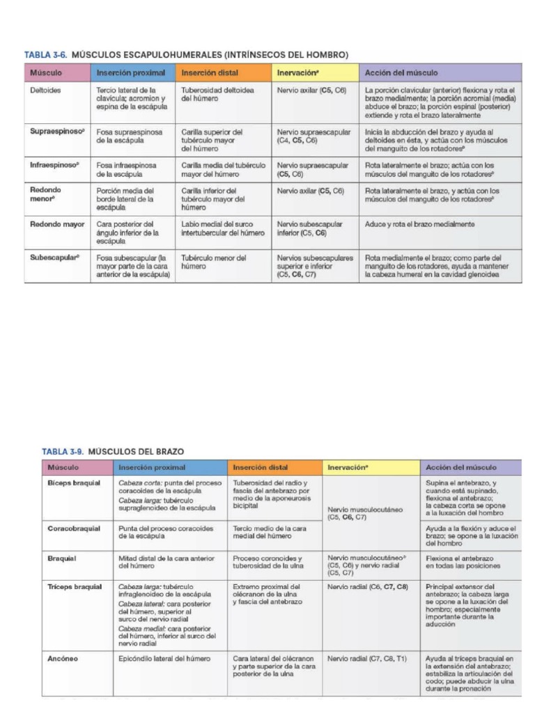Miembro Superior Cuadros | PDF