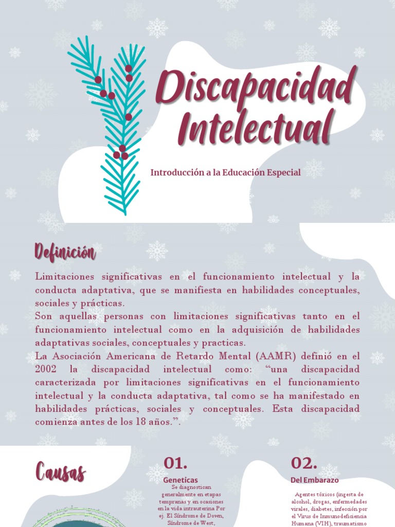Discapacidad Intelectual | PDF | Discapacidad intelectual | Síndrome de Down