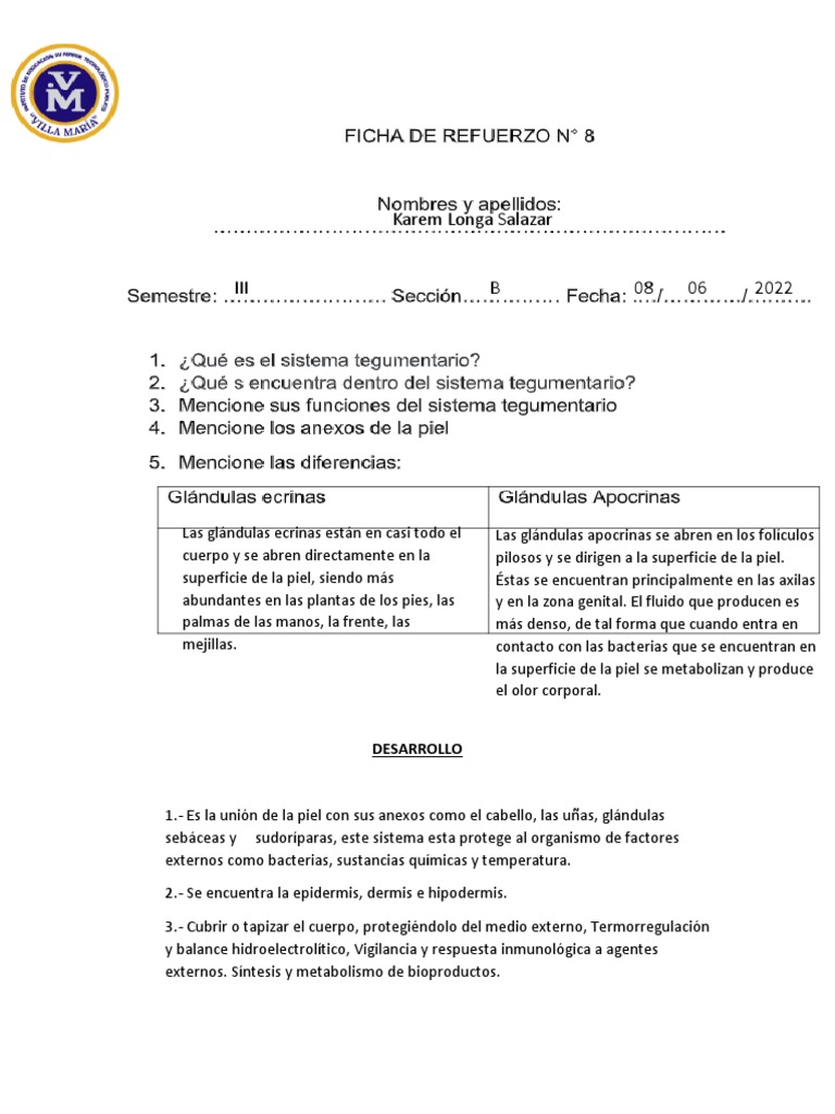 Anatomia Ficha 8 | PDF