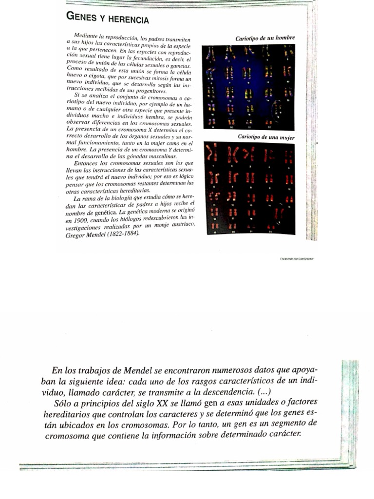 Texto Expositivo Explicativo Pdf 5714