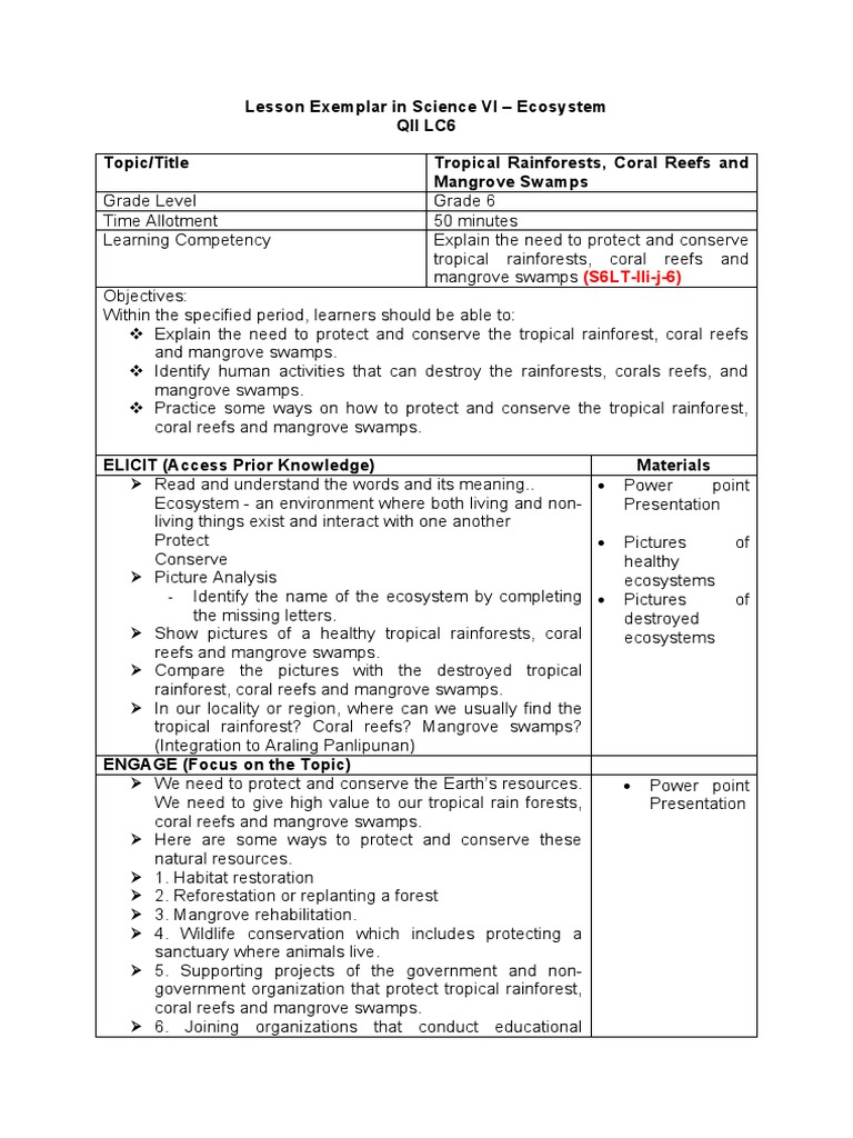 Lesson Plan COT1 | PDF | Coral Reef | Mangrove