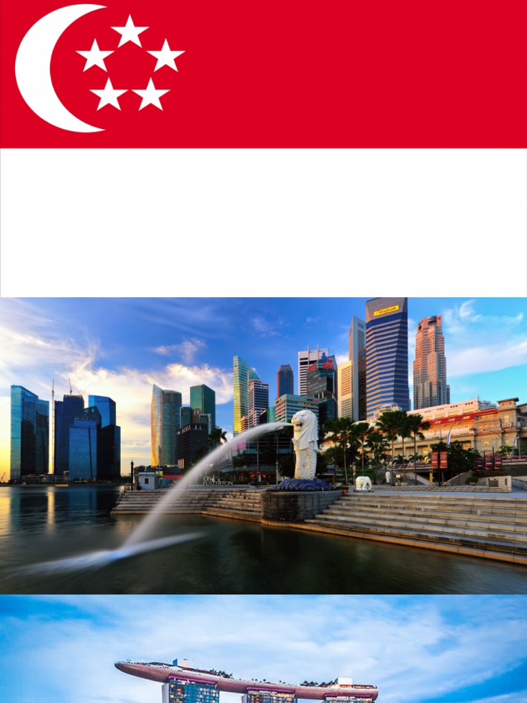 The Singa Full Lesson | PDF | Lion