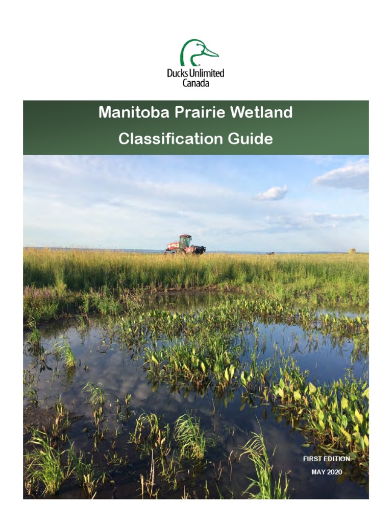 Manitoba Wetland Plants | PDF | Wetland | Soil