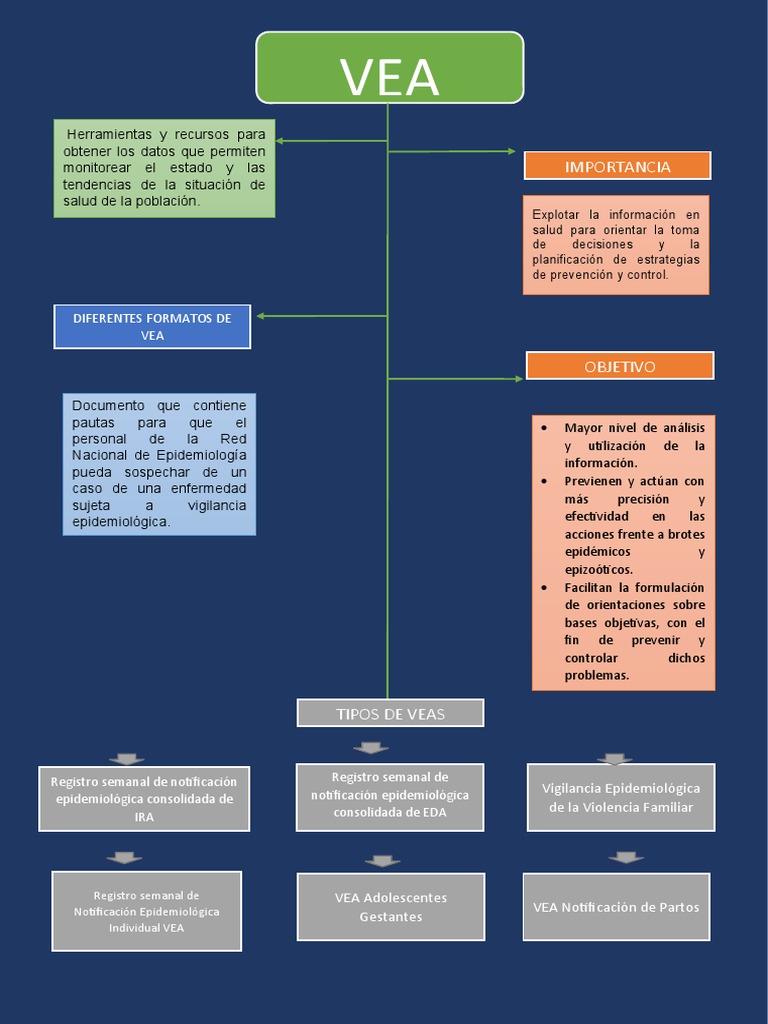 Importancia: Diferentes Formatos de VEA | PDF | Epidemiología