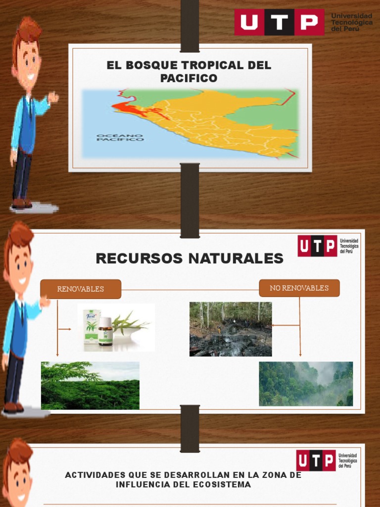 El Bosque Tropical Del Pacifico | PDF